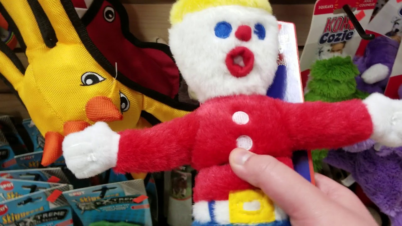 Heartland Pets in the Millcreek Mall ( cute puppies) - YouTube