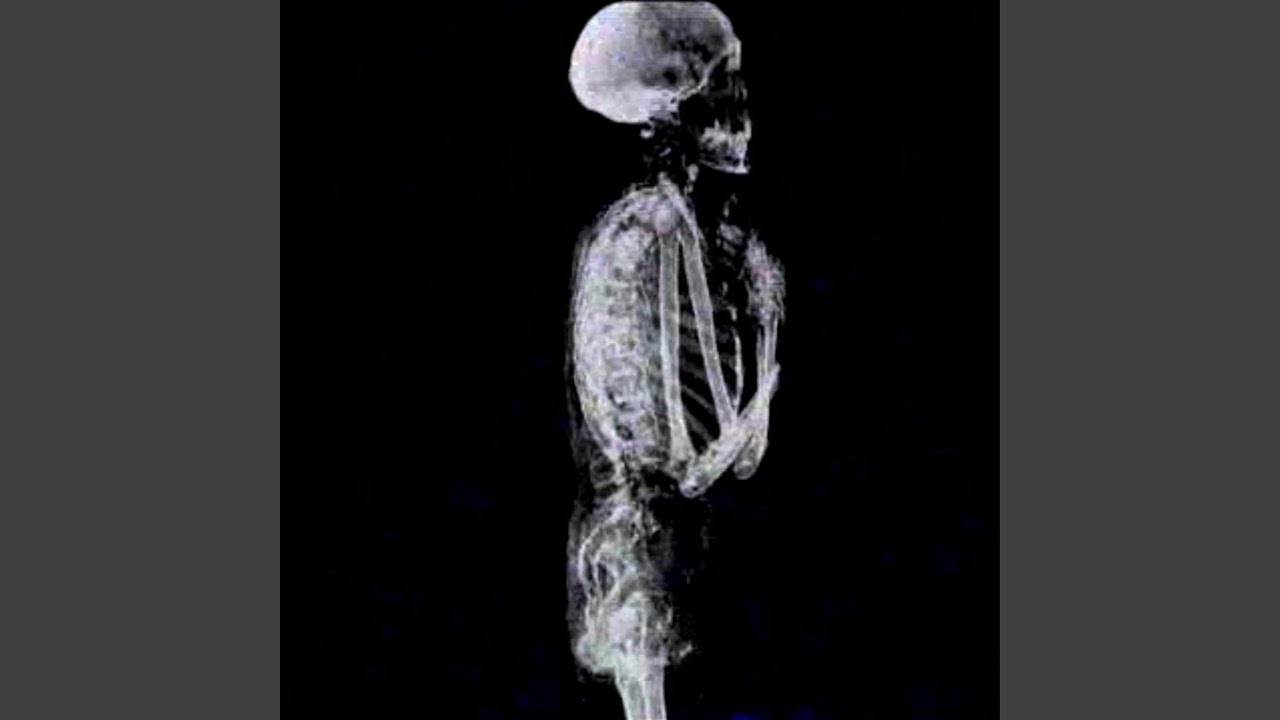 phantom - YouTube Music