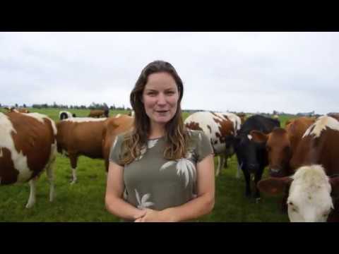 NAJK - Maak kennis met... dagelijks bestuurder Marije Klever - YouTube