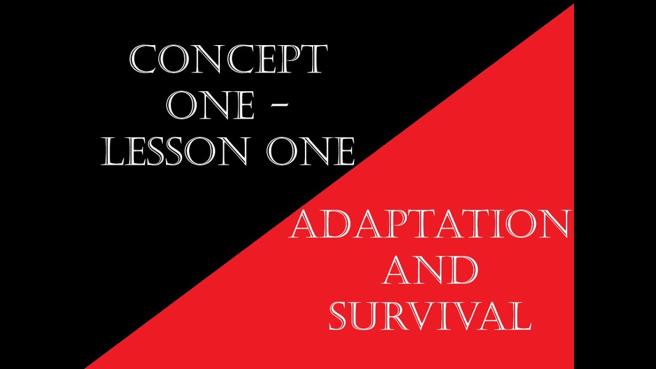 concept one- lesson one- part2 - YouTube