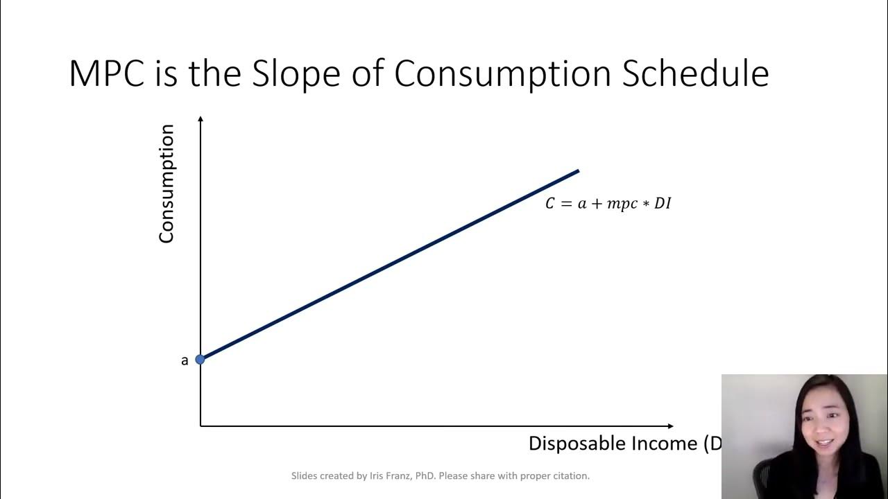 Aggregate Expenditure Model 03: The Consumption Function (Schedule ...