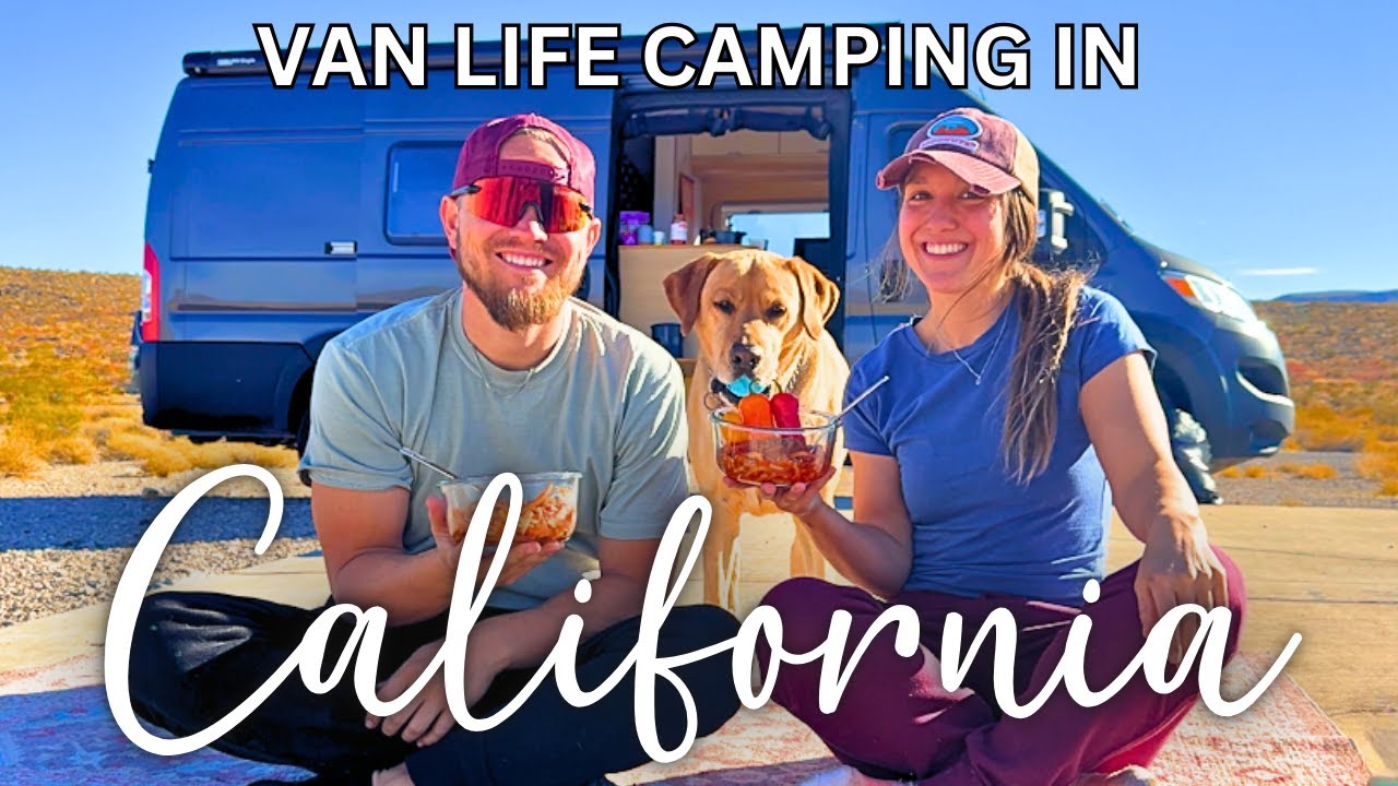 We've Traveled Across America in a Van | 42 States & 1 Year Later - YouTube