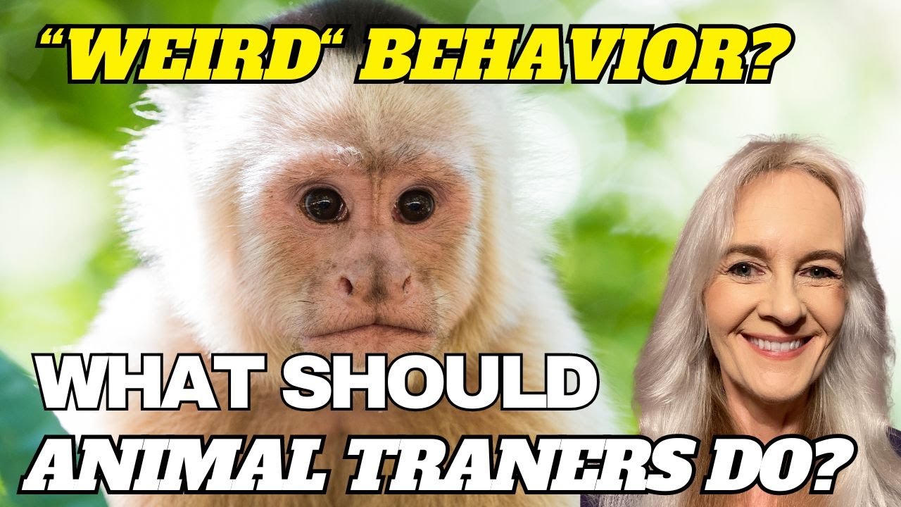 “Weird” Animal Behavior, And What to Do About It - YouTube