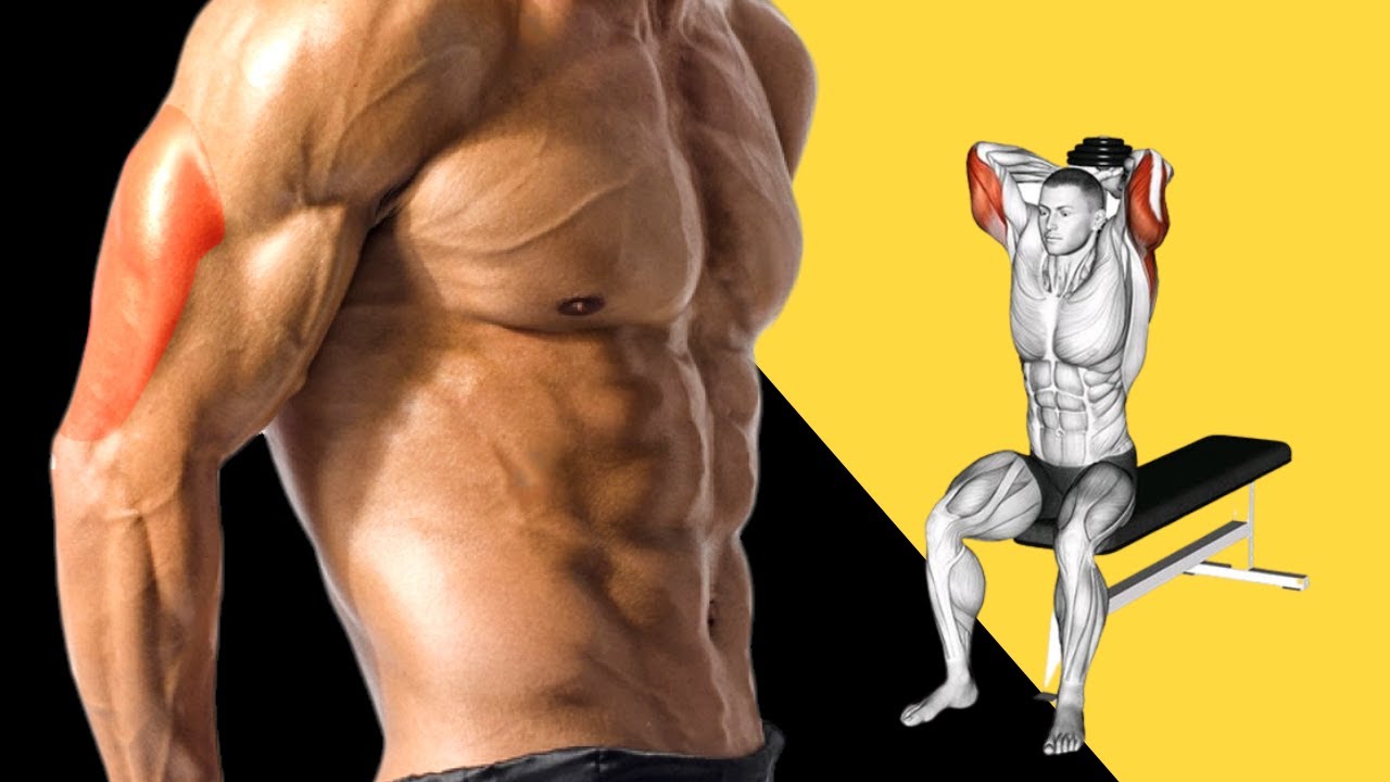Sculpt Strong Triceps: Dumbbell Workout at Home - YouTube
