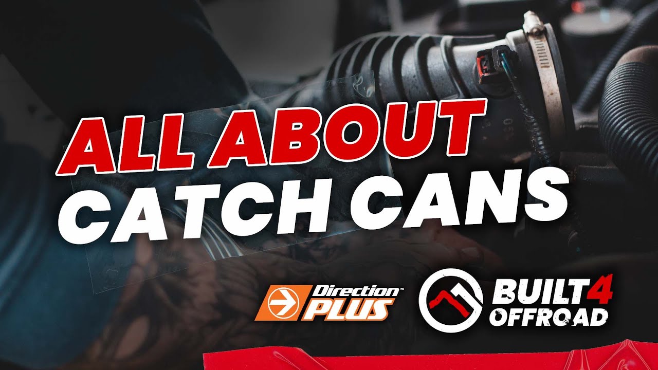 WHAT IS A CATCH CAN? | Everything you need to know about CATCH CANS ...