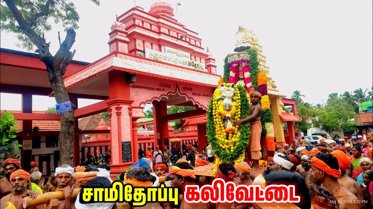 சாமிதோப்பு கலிவேட்டை 2024 | ஆவணி திருவிழா #samithoppu #tiruvizha #2024 ...
