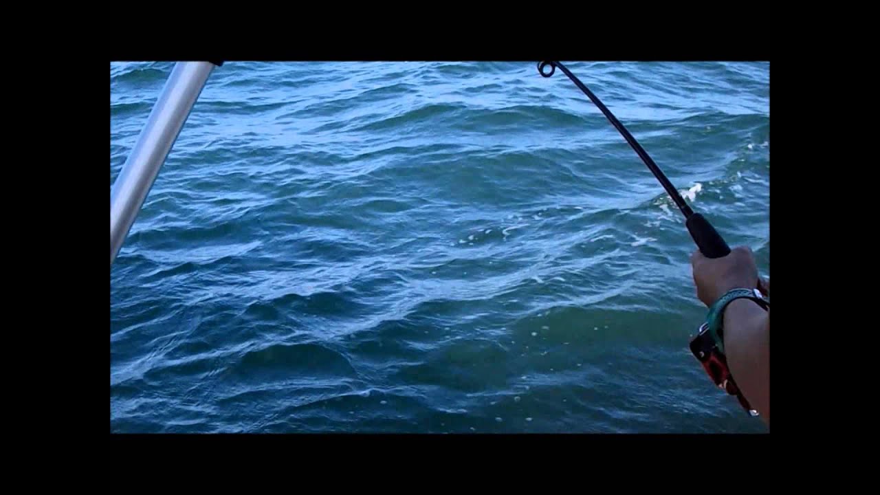 nannygai fishing middle reef [HD] - YouTube