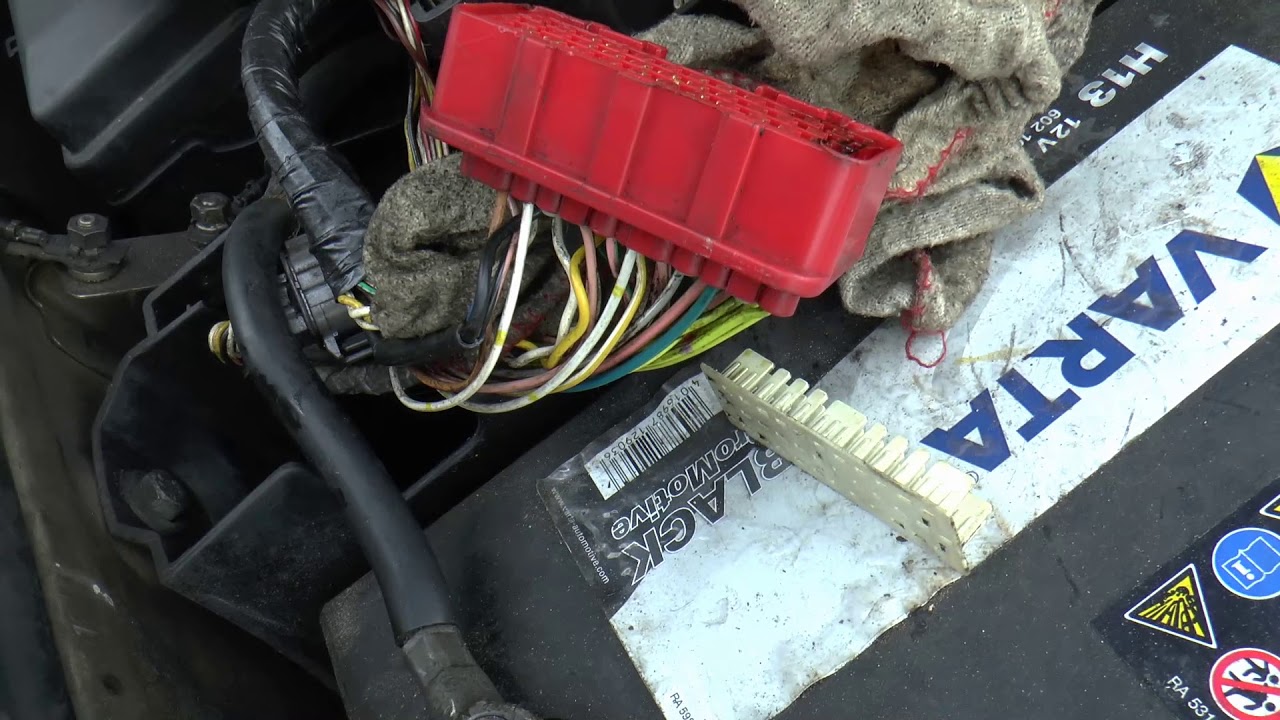 Disco 2, TD5, Injector loom ECU oil check. (Big Lollopy Dog)! - YouTube