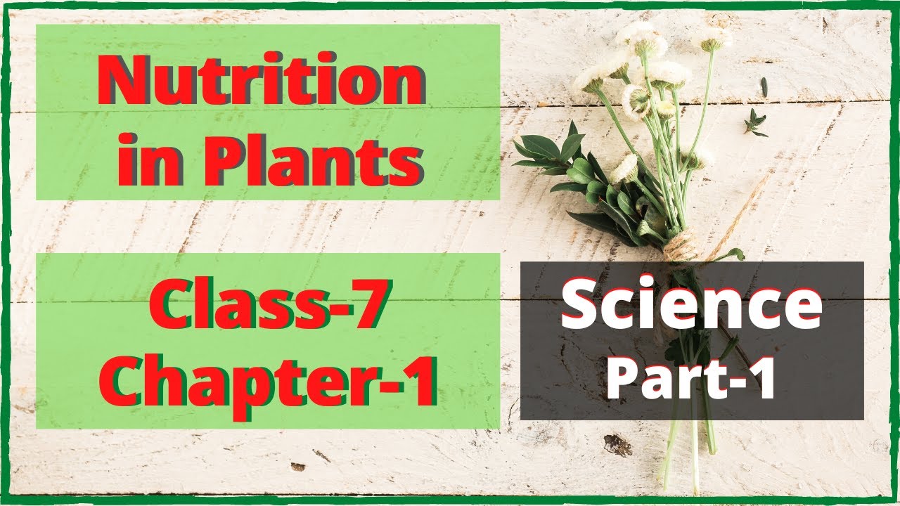 Nutrition in plants class 7 chapter 1 science | Class 7 Science Chapter ...