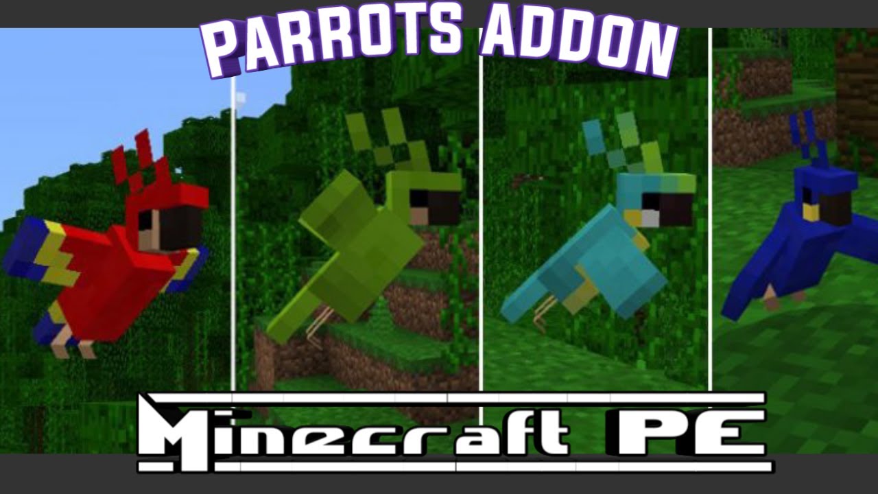 How to spawn PARROTS in Minecraft PE - YouTube