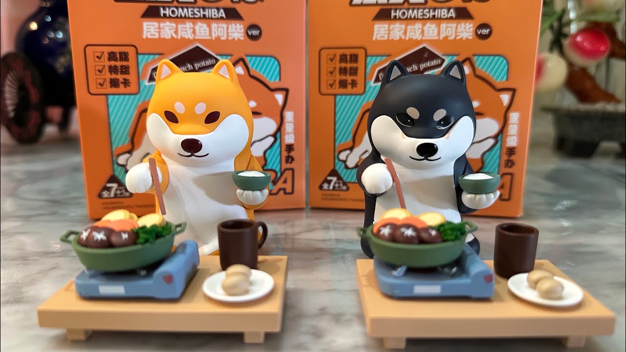 GURAYA SHIBA x HOMESHIBA Blind box Unboxing - YouTube