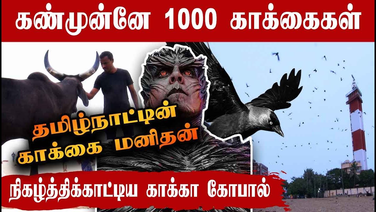 Animal Language எனக்கு கைவந்த கலை | Actor Kaka Gopal Exclusive ...