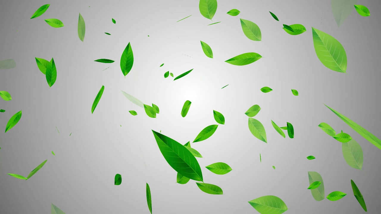 Leaf particle Random Moving Effect || HD Video || #svdigitals - YouTube