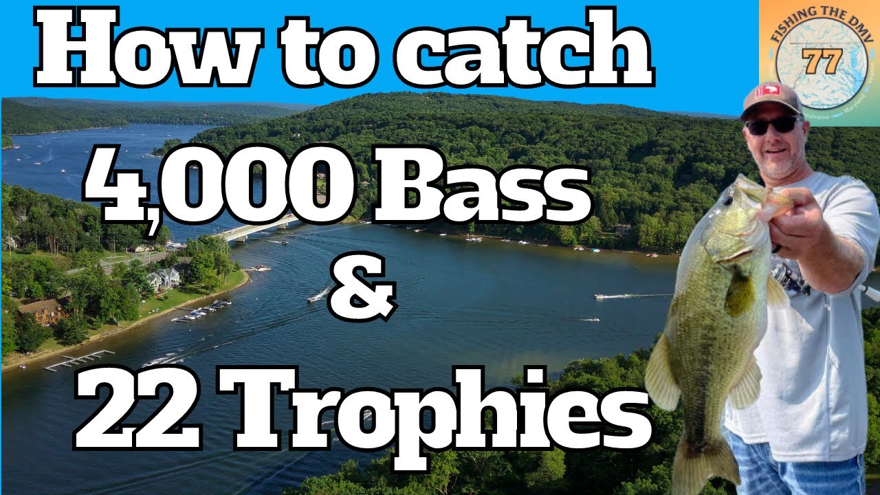 How to Catch A Bass Every Time- Maryland Deep Creek Lake Angler Jason ...