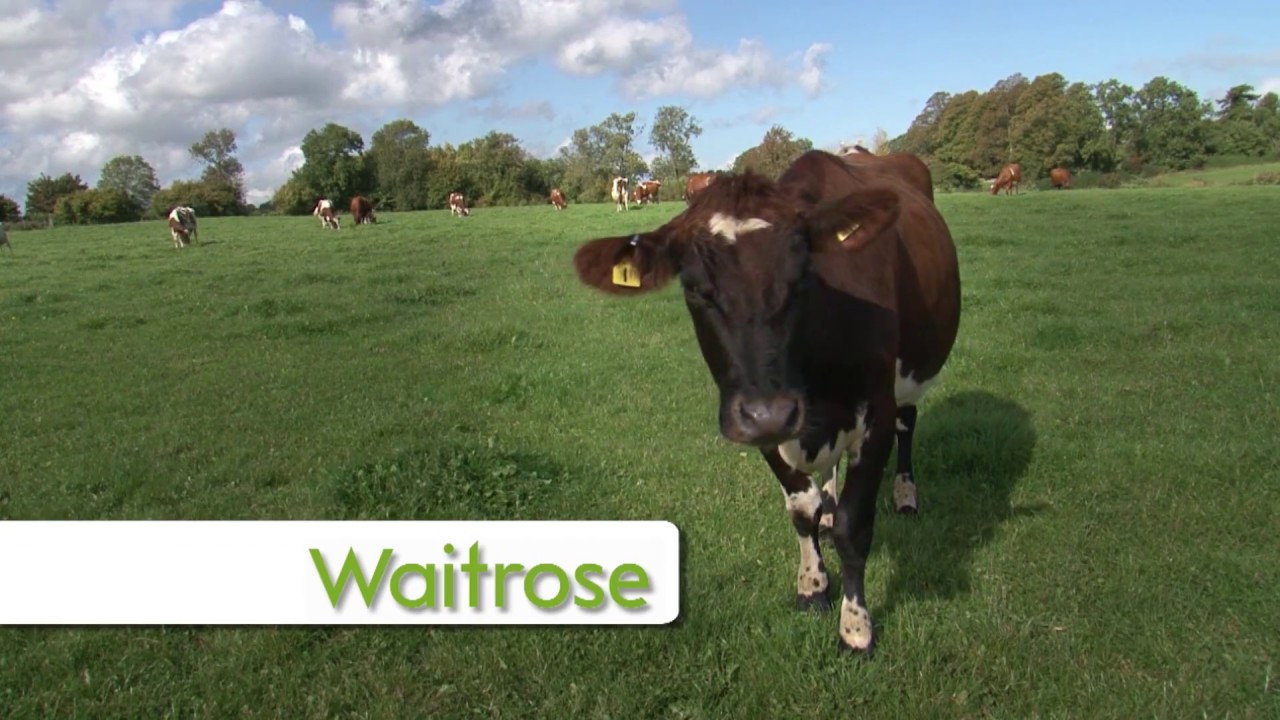 Emma Hewson Dennis Publishing Showreel - YouTube