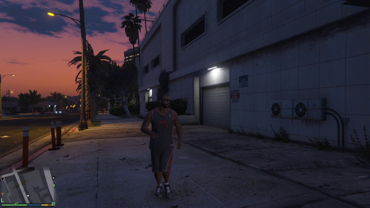 GTA V Npc randomly screaming/running from nothing (glitch i guess ...