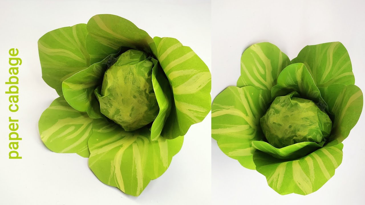 Cabbage making || paper vegetable || paper cabbage 🥬 || diy craft - YouTube