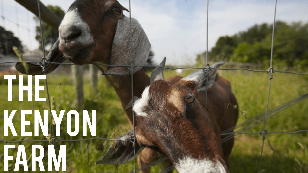 Kenyon College: The Farm - YouTube