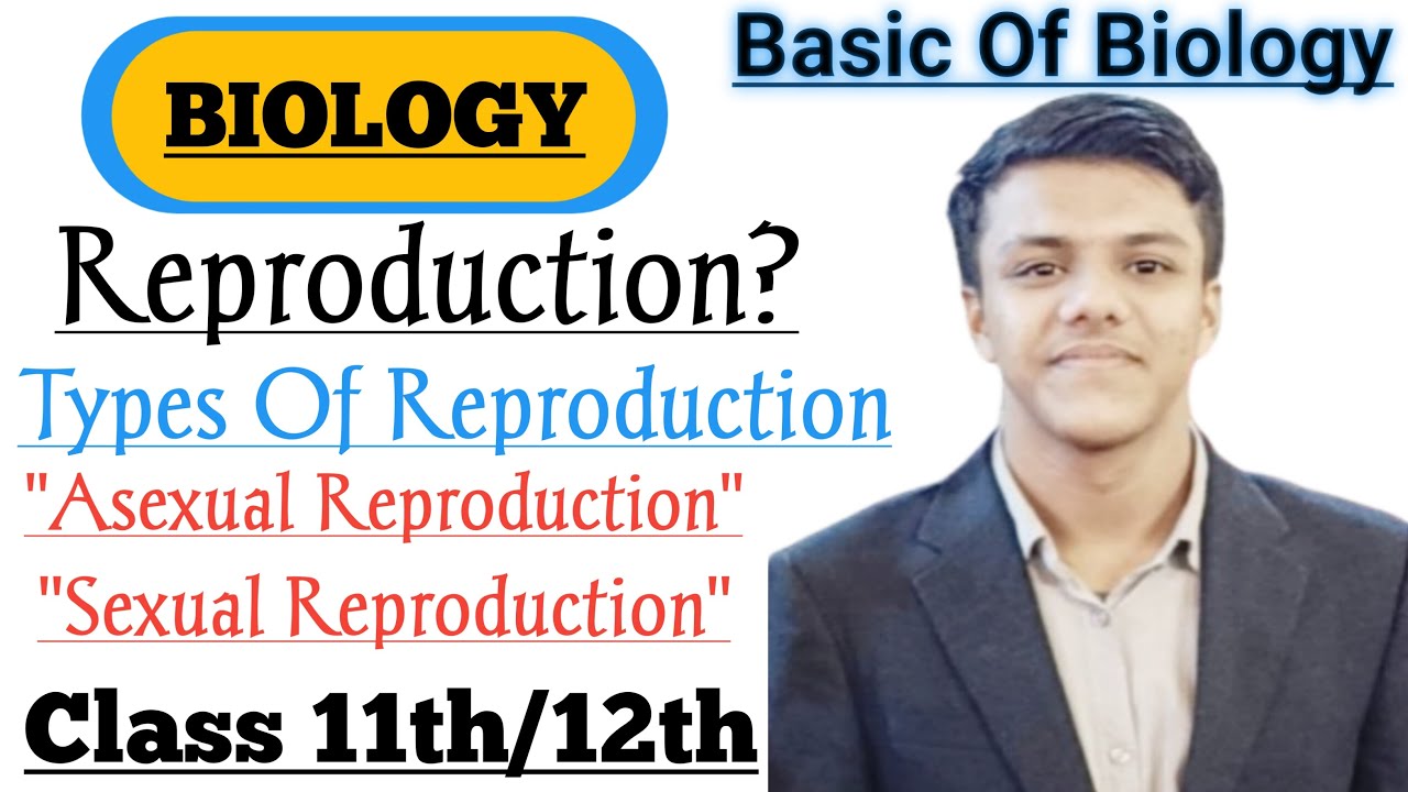 Reproduction And Types Of Reproduction || Reproduction Kya Hain || Ye ...