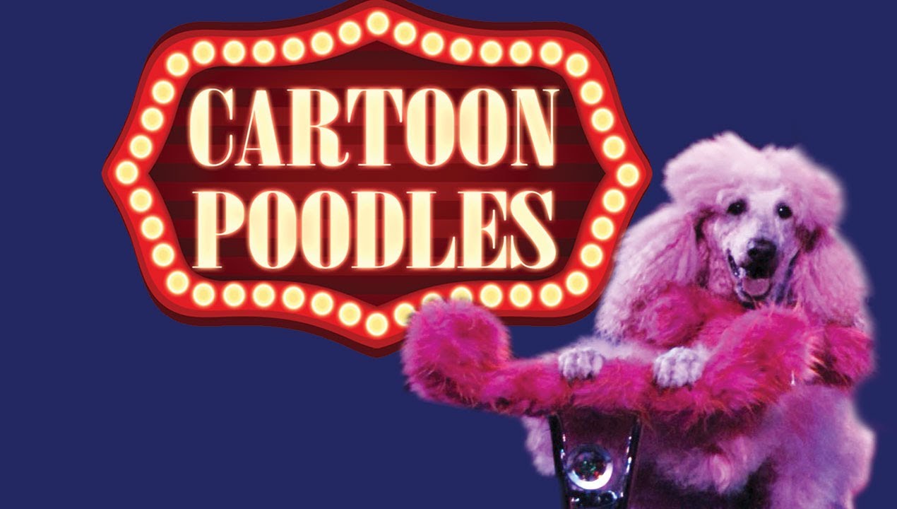 Cartoon Poodles: America's Favorite Poodle Show 2013 - YouTube