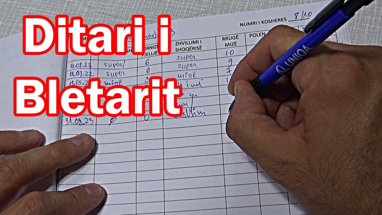🔴Episodi 20: Ditari i Bletarit - YouTube