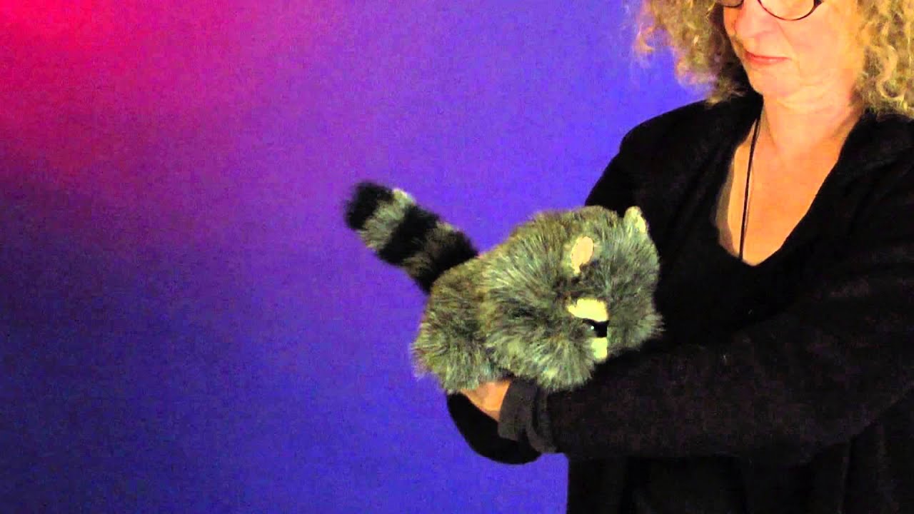 Folkmanis® Baby Raccoon Puppet Demo - YouTube
