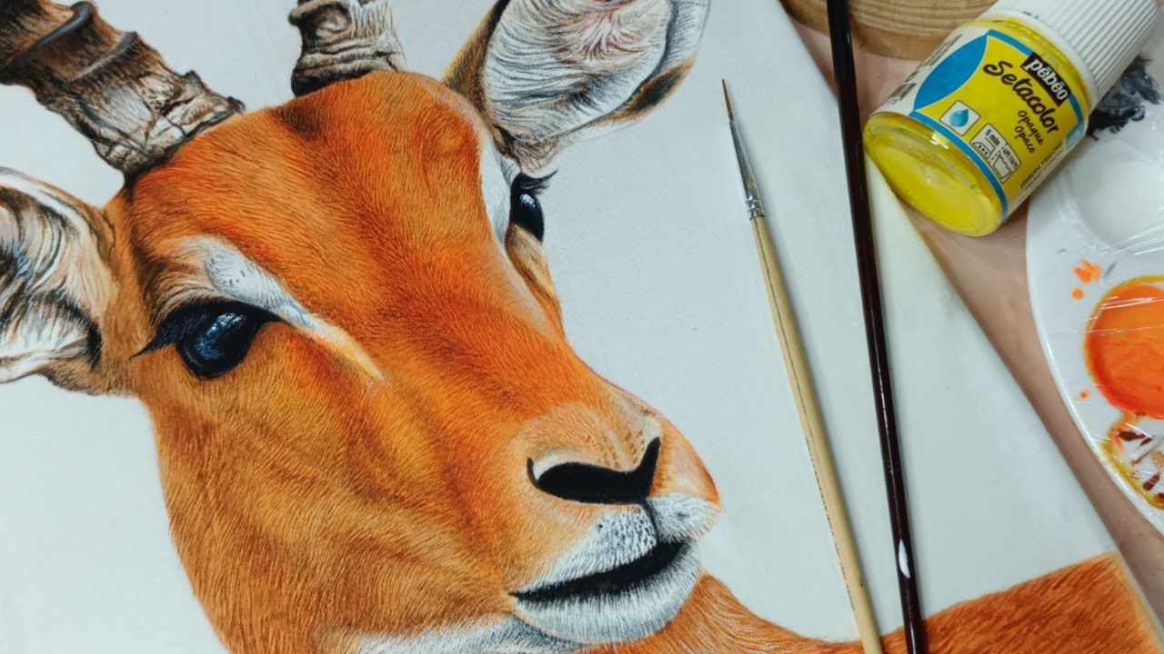 Impala (African deer) | how to painting impala real life step by step ...
