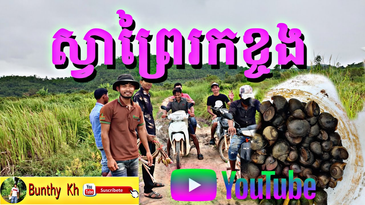 ក្រុមស្វាព្រៃទៅរកខ្ចង - YouTube