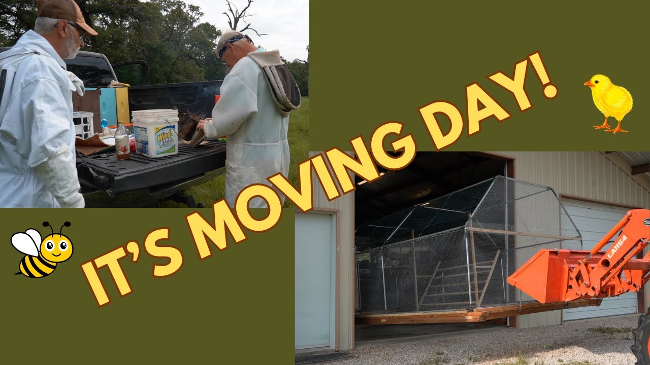 It's Moving Day!! AND links to what we used in building the mobile ...