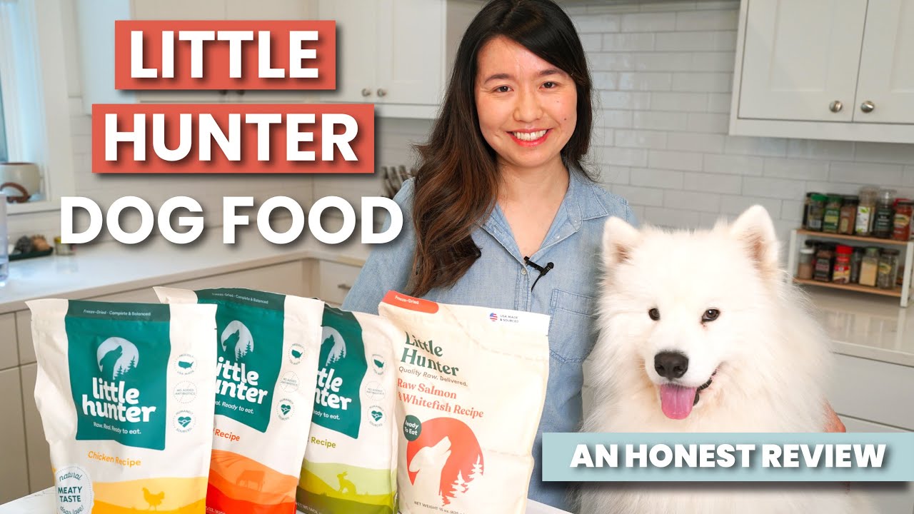 Little Hunter Raw Dog Food | An Honest Review - YouTube