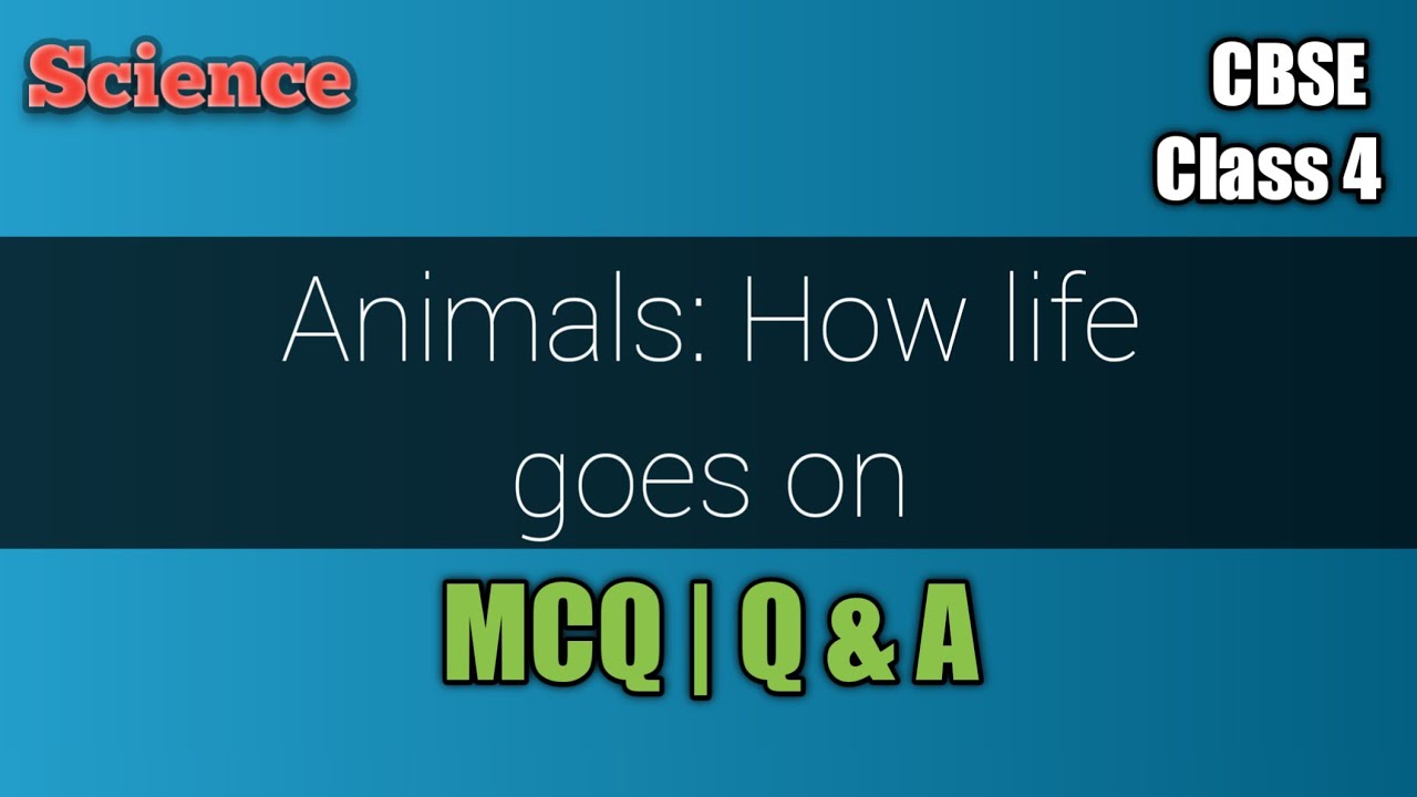 CBSE | Class 4 | Science | Animals How life goes on | Questions and ...