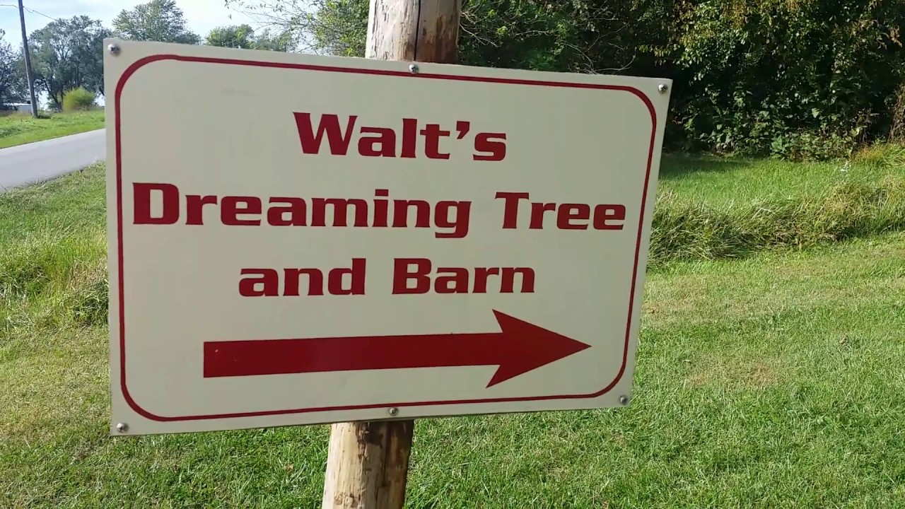 Walt Disney Dreaming Tree And Barn - YouTube