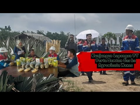 KUNJUNGAN PT PERTA SAMTAN GAS - YouTube