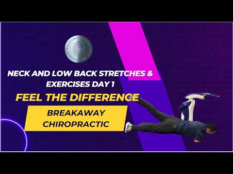 Neck & Low Back Pain: Day 1 Stretches & Exercises - YouTube