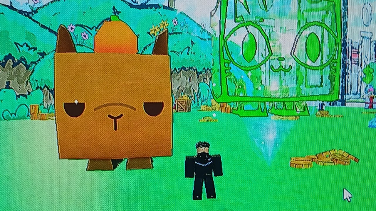 Ik werd gescamd in pet simulator x 😭 - YouTube