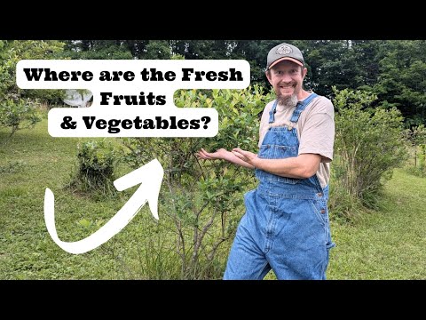 Spring Homestead & Garden Tour: A Season of Growth - YouTube