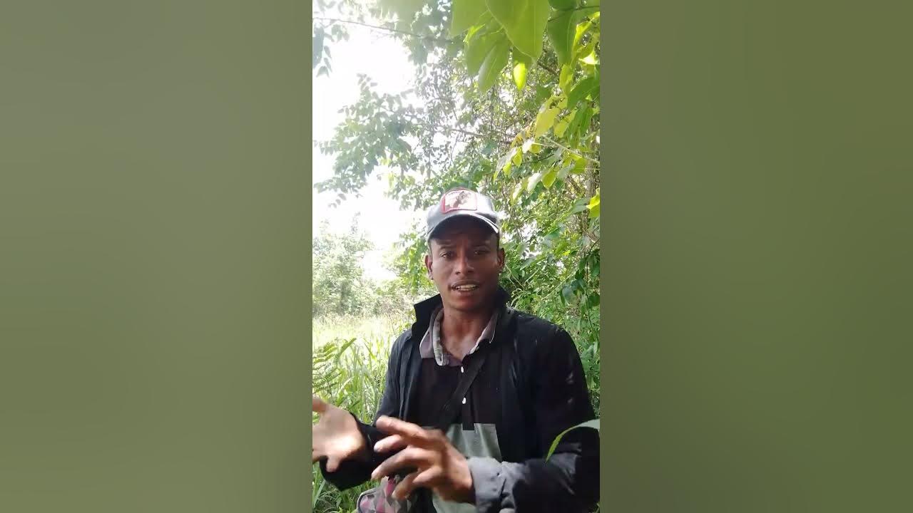 yo no te coji llayina pedre - YouTube