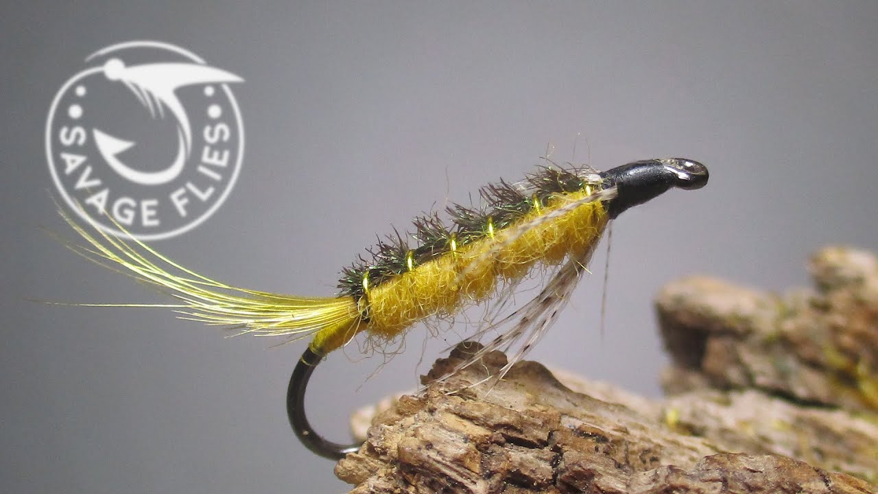 Tying the California Coachman (a semi-forgotten nymph pattern) - YouTube