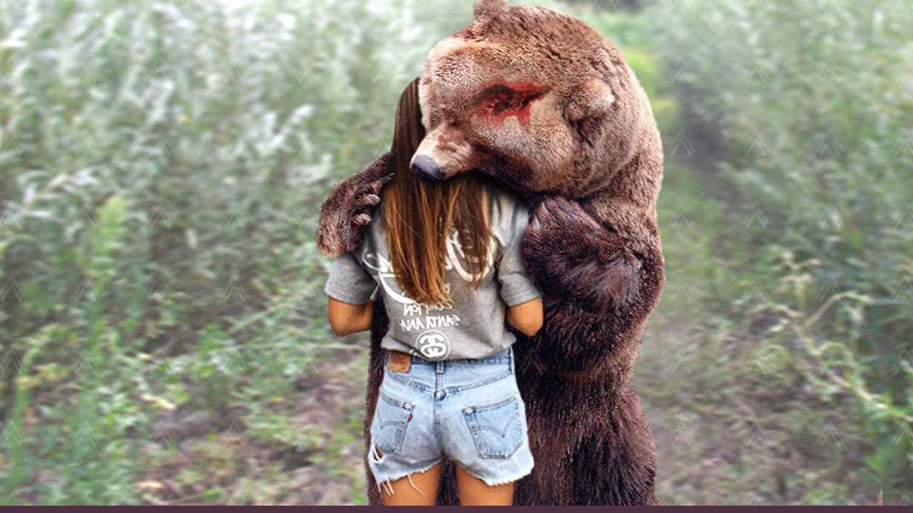 These Animals Reunited With Owners After Years | Lion Sees Her Adoptive ...