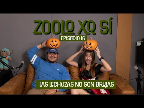 Las LECHUZAS no son BRUJAS | Zoolo XQ Sí | Episodio #16 Especial Halloween 🎃