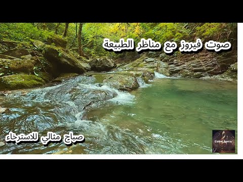 فيروزيات الصباح مع الطبيعة - لحظات من الاسترخاء والصفاء. Fayrouz ...
