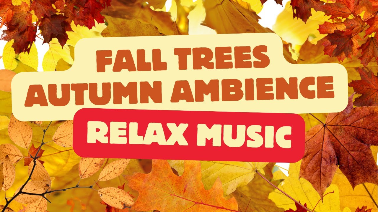 Fall Ambience, Peaceful Fall Trees, Background Autumn Relaxing Music ...