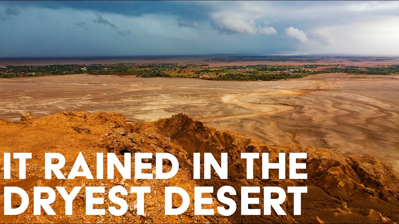 Atacama Desert was shut down due to rain! - YouTube