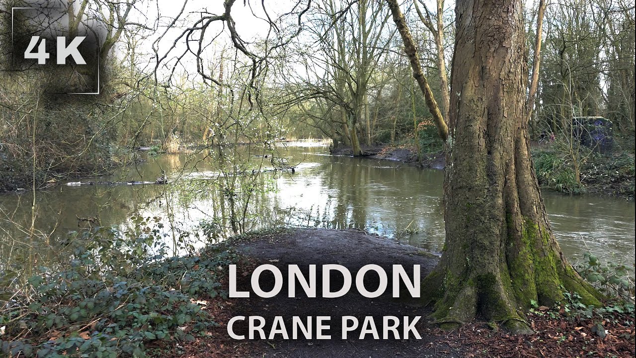 Virtual Walking Tour of Crane Park in London | Serene Nature Sounds in ...
