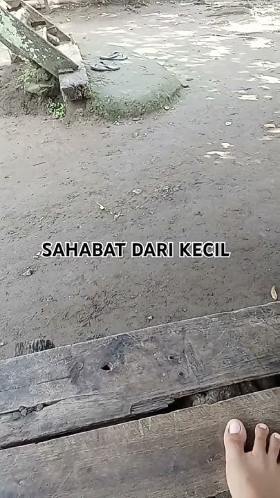sehat selalu kalian ber2,semoga tetap saling menjaga selayaknya saudara - YouTube