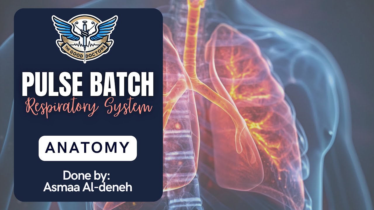 Lecture 2 - Larynx : Anatomy (RS) - YouTube