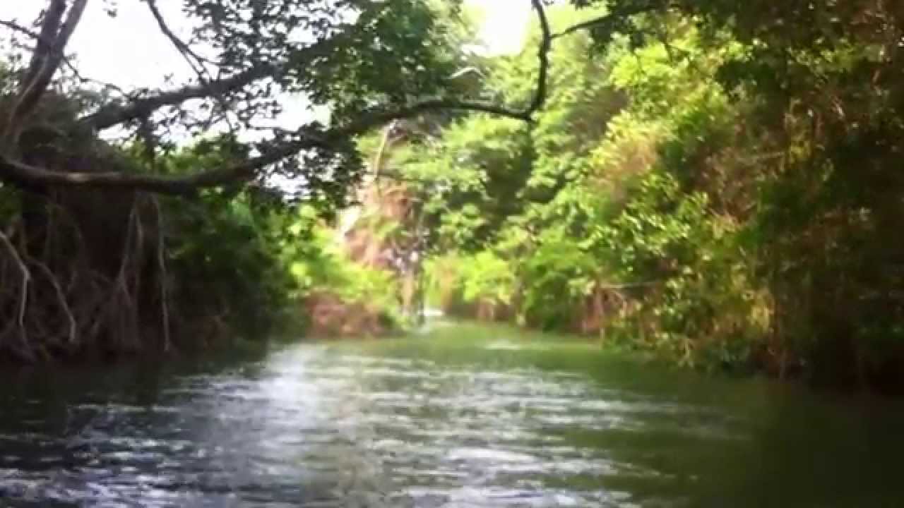 SEARIOUS ADVENTURES tour boat ride into Belize River - YouTube