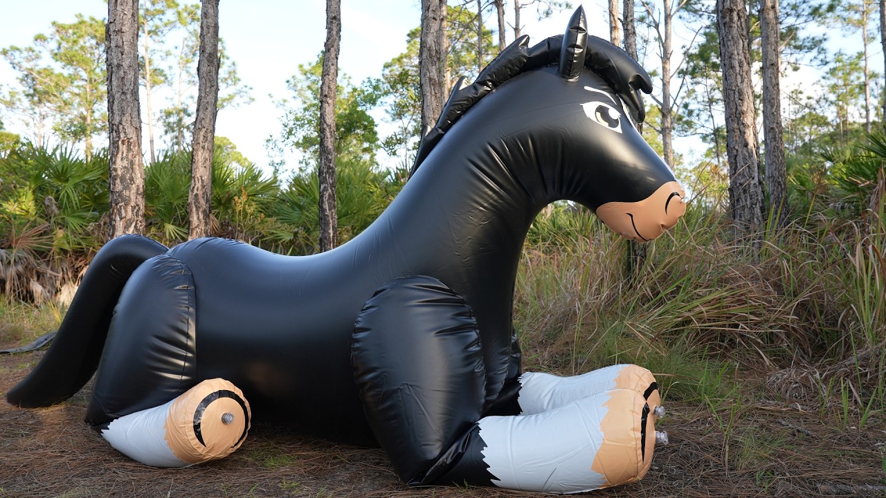 Life-Size Inflatable Ride-On Black Horse from Horseplay Toys - YouTube