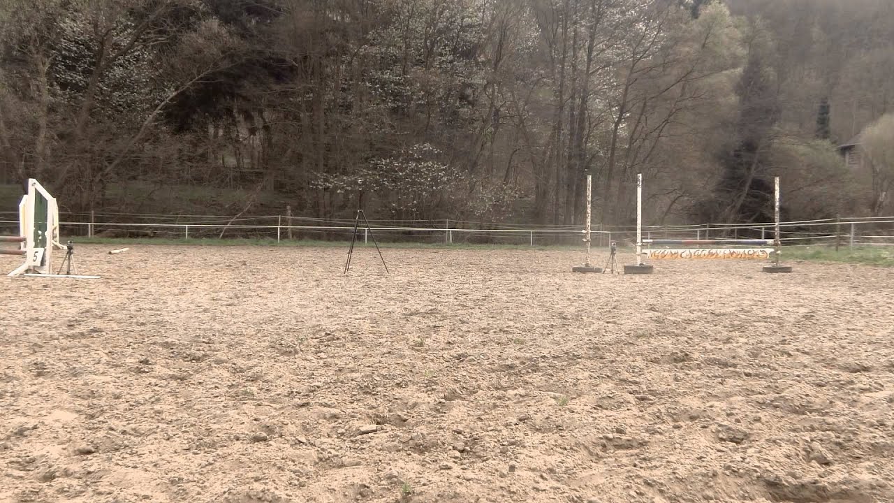 Capturing animals - YouTube