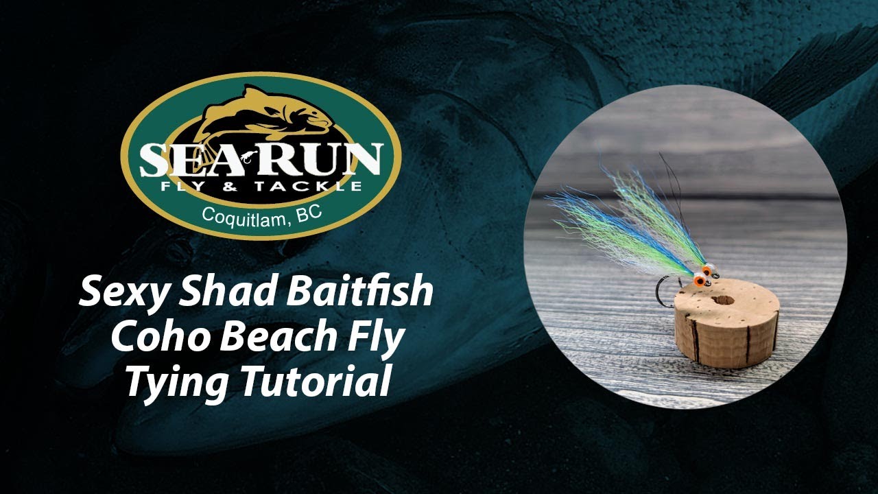Sexy Shad Baitfish Coho Beach Fly Tying Tutorial #flytying - YouTube